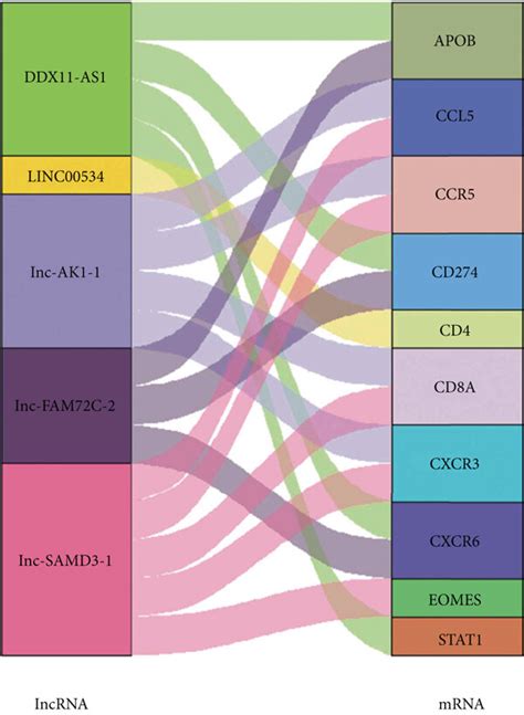 Identification Of Hub Lncrnas Based On Hub Mrnas Through Lncrna Mrna Download Scientific