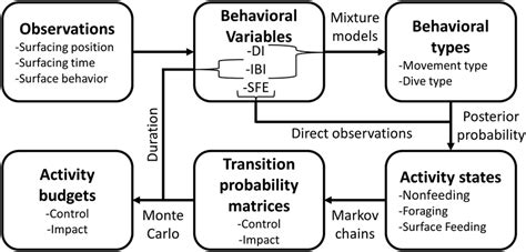 A Conceptual Diagram Showing The Structure Of The Modeling Framework