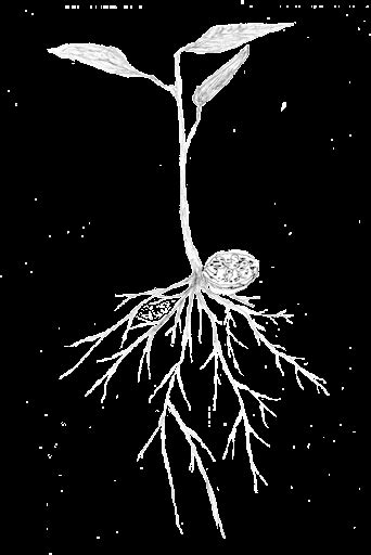 Peach Tree By Giulia Download Scientific Diagram