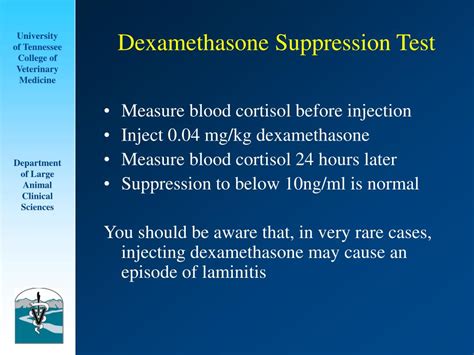 Ppt Cushings Disease And Other Metabolic Diseases Powerpoint