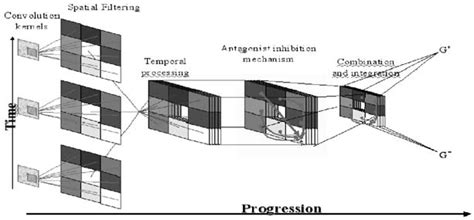 Architecture Of Neuromimetic Connectionist Model Adapted Of 10