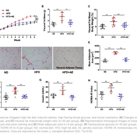Aerobic Exercise Attenuates Exhaustive Exercise Induced Myocardial