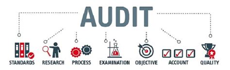 DQS ISO 19011 2018 Guidelines For Auditing Management Systems DQS