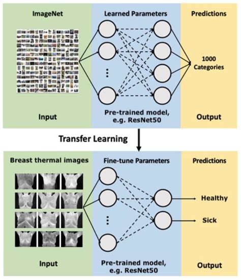 Evaluation Of Integrated Cnn Transfer Learning And Bn With Thermography For Breast Cancer