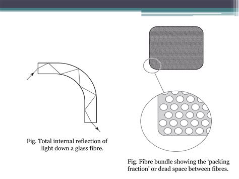 Endoscopes Biomedical Engineering Pdf Digestive Disorders Endoscopes Biomedical Engineering Pdf Digestive Disorders