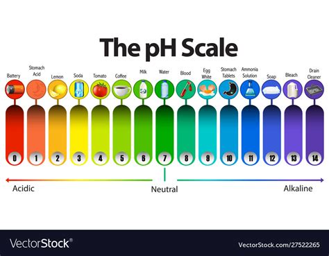 The Ph Scale On White Background Illustration Canstock My XXX Hot Girl