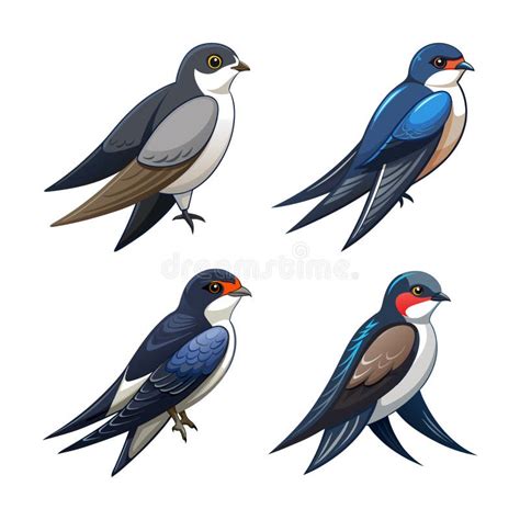 Dynamic Alpine Swift Bird Illustration Stock Vector Illustration Of Nature Wings
