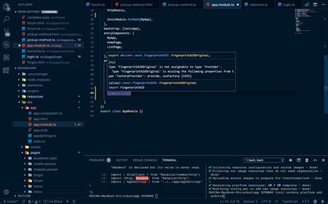 issue adding ionic native plugin to ionic v3 project ionic native