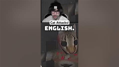 Cat Attack Itchiohorrorgame Itchiogames Cat Funnymoments Gaming
