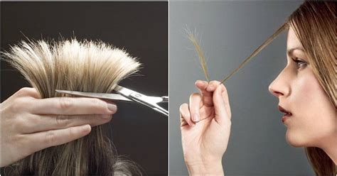 5 ошибок в уходе за волосами из за которых появляются секущиеся кончики