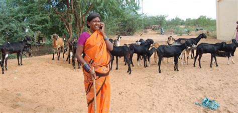 maternal health mobile alliance for maternal action borgen