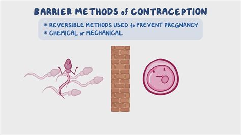 Contraception Barrier Methods Nursing Osmosis Video Library