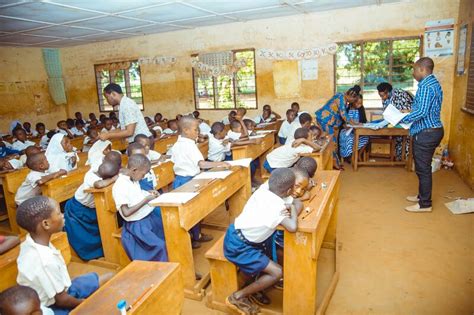 Datavision International On Linkedin Education Data Quality Earlygradeassessement