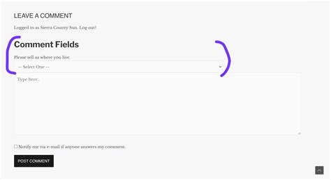 Field Added To Comments With Pods Doesnt Display To Logged Out Users