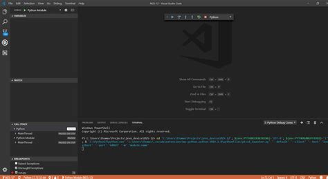 Python Debug Problem Issue 70076 Microsoft Vscode GitHub
