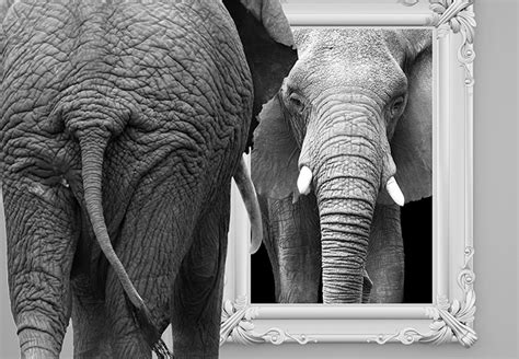 Replication Between Postgresql Versions Using Logical Replication