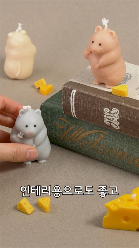 그만 나으 귀여움에 반하고 말았어요 쁘이 4월 12일은 세계 햄스터의 날🐹 ️아이디어스에서 햄스터를 검색하세요 세계햄스터의날 햄스터 햄찌 햄스터캔들 웃긴캔들