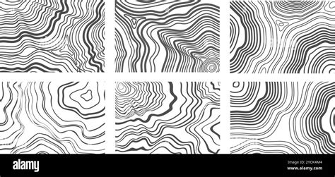 Tree Cut Patternvector Topographic Map Concept Stock Vector Image