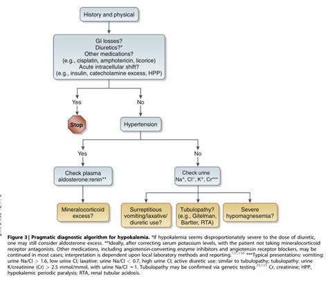 Pragmatic Diagnostic Algorithm For Hypokalemia Typical Grepmed