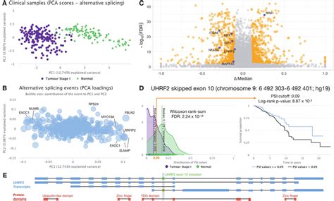 Alternative Splicing Analyses On Tumour Stage I And Normal Breast Download Scientific Diagram