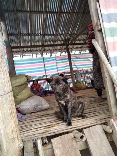 ကန်ပက်လက်ဒေသက ပြည်သူများအတွက် ဆောမြို့နယ်တွင် စစ်ဘေးရှောင်စခန်းဖွင့်လှစ်