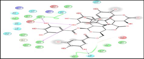 Binding Pose Of Asiatic Acid Inside The Binding Pocket Of G 6 P