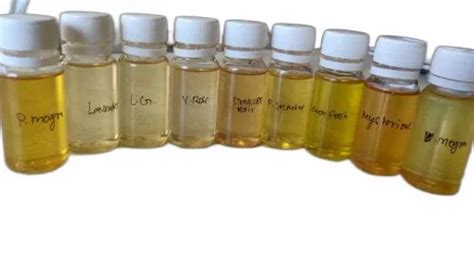 Essential Diffuser Oil Packaging Size Kg At Rs Bottle In Indore Id