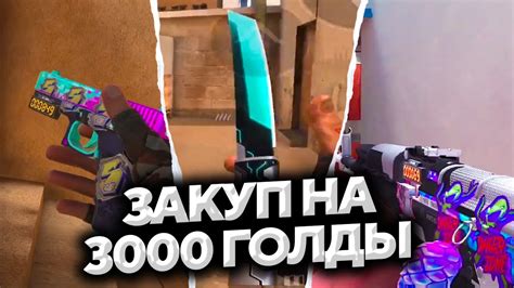 ЛУЧШИЙ ИНВЕНТАРЬ ЗА 3000 ГОЛДЫ! - YouTube