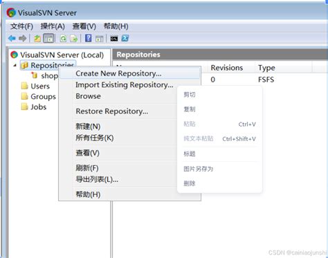 svn学习笔记 svn版本库浏览器 csdn博客