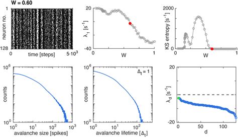 W 06 No Positive Lyapunov Exponents Survive At A Local Maximum Of