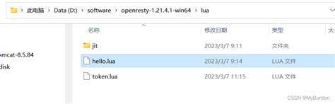 windows 环境下nginx 静态资源服务器（图片，文件）权限控制（nginx openresty lua） csdn博客