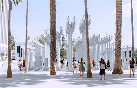 The Los Angeles County Museum Of Art A Travelers Guide Blog