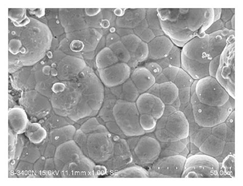Sem Micrograph 1000× Of Electroless Ni P Coated With Sls Surfactant Download Scientific
