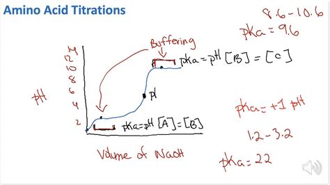 Amino Acid Titration Curve Guide 5 Key Points You Must Know Whattoknowblog