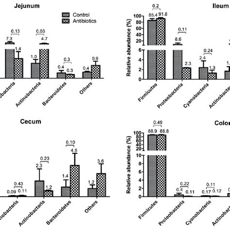 Spatial Distribution Of Bacterial Genera And Their Abundance Among The
