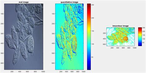 672 questions with answers in matlab simulation science topic