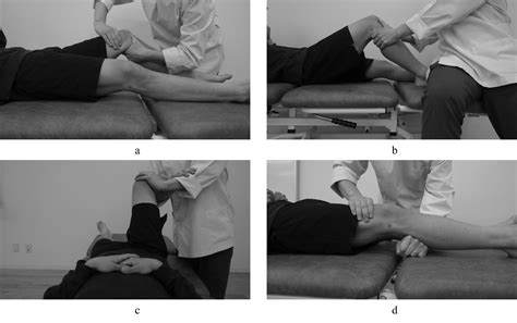 Lachman Test