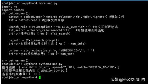 Linux 系统版本分别使用shell和python正则获取linux系统版本号 Csdn博客