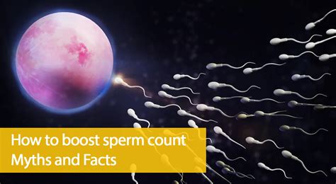How To Boost Sperm Count Myths And Facts