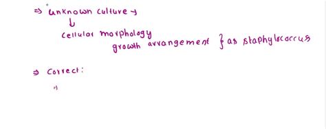 match the structures of the following functional groups by dragging and
