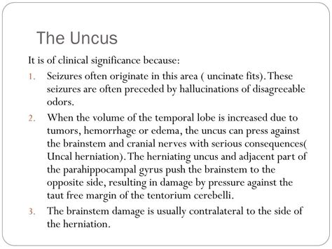 Ppt The Olfactory System And Limbic System Powerpoint Presentation