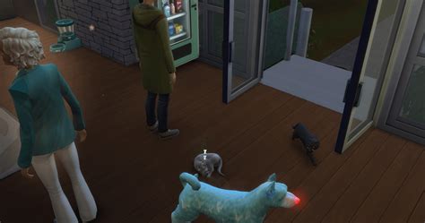 The Two Little Kaminsky Brothers Are Growing Up Rsims4