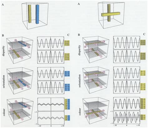 A C Example Of Stimulus Dependent Assembly Formation In Multiple Download Scientific Diagram