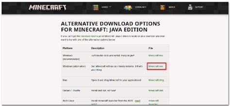Error Cannot Update Runtime Environment