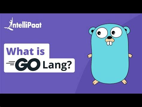 What Is Golang What Is Golang Used For Golang Tutorial For Beginners Intellipaat Edupe
