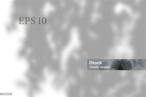 투명 한 자연 식물 그림자 조명 효과 오버레이 메쉬 그리드 나뭇가지 식물 잎 및 땅의 나뭇잎의 그림자 프리젠 테이션 디자인 카드 포스터 사진 현실적인 벡터 일러스트 레이 션