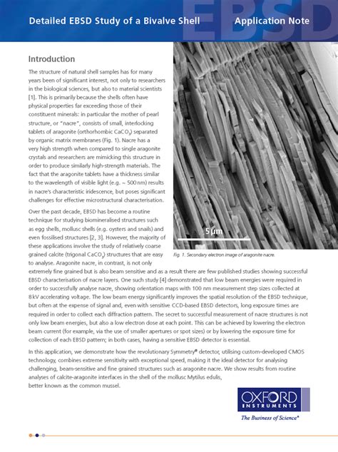 二枚貝の詳細なebsd研究 Nanoanalysis オックスフォード・インストゥルメンツ