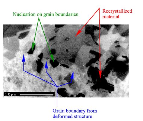 Recrystallization Of Austenitic Stainless Steel
