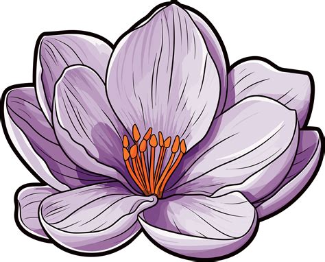 Ai Generated Crocus Flower Clipart Design Illustration 39398658 Png