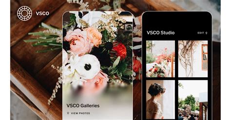 Introducing Vsco Galleries For Seamless Photo Sharing Client Delivery